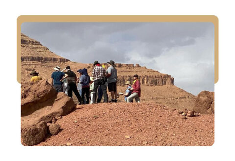 Rocks and Minerals in Morocco: A Hidden Gem for Geology Enthusiasts